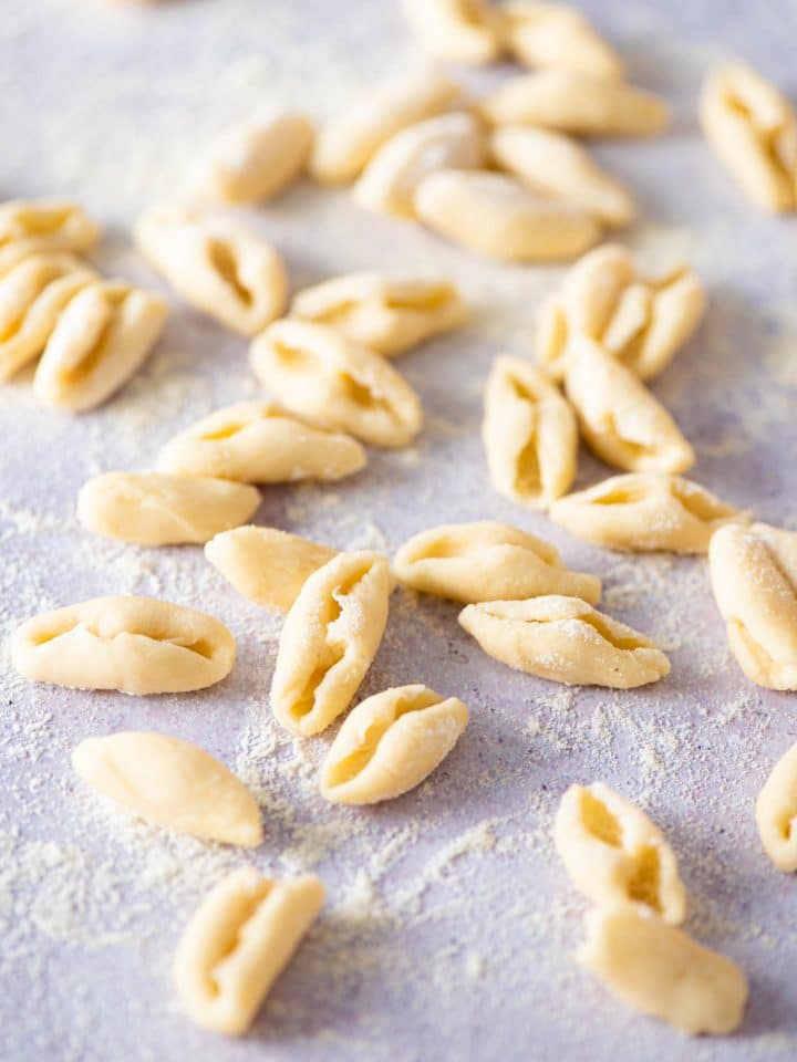 Homemade Agnolotti (step by step) - Inside The Rustic Kitchen