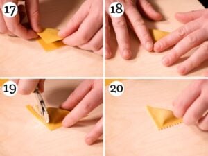 Homemade Triangoli with Mushroom and Taleggio - Inside The Rustic Kitchen