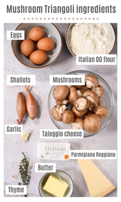 Homemade Triangoli with Mushroom and Taleggio - Inside The Rustic Kitchen