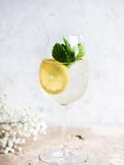 Venetian Select Spritz - Inside The Rustic Kitchen