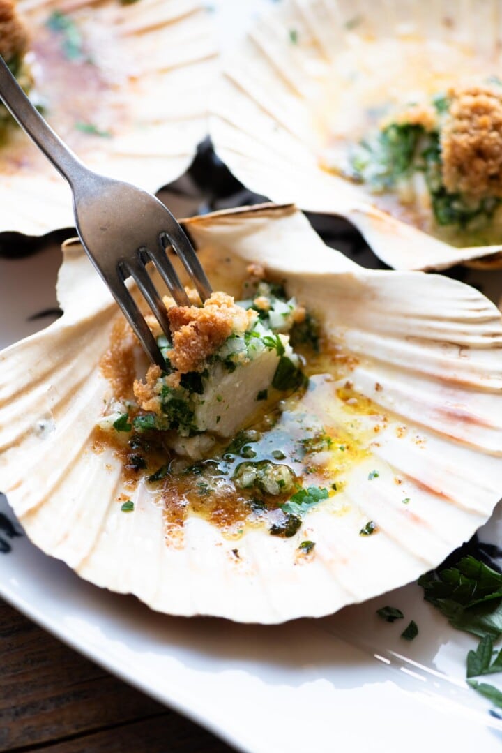 Friulian Scallops Gratin (Capesante Gratinate) - Inside The Rustic Kitchen